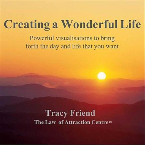 Amazon.com: Creating a Wonderful Life - Visualisations : Tracy Friend ...