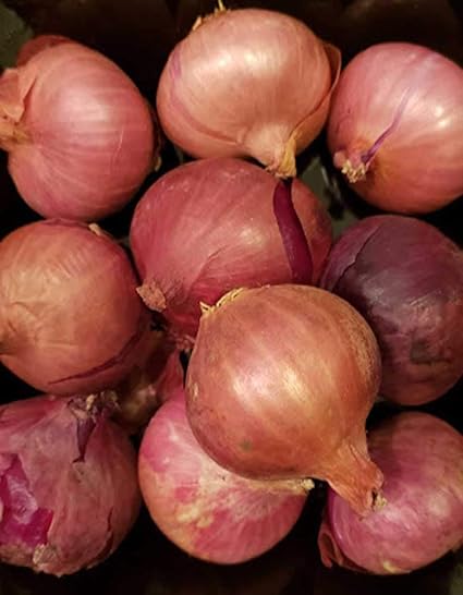 Amazon.com: Fresh Shallots 2 Lbs. Produce of USA : Grocery & Gourmet Food