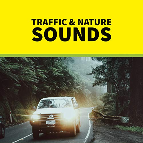 Traffic & Nature Sounds de City Traffic Ambience & Nature In The ...