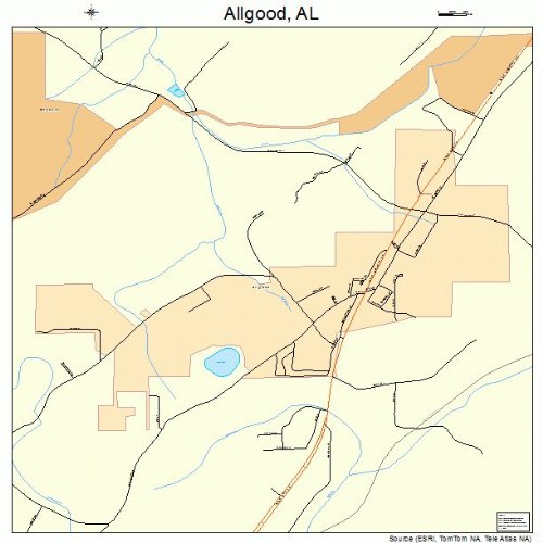 Amazon.com : Large Street & Road Map of Allgood, Alabama AL - Printed ...