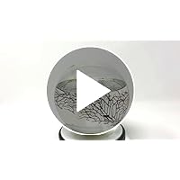 Amazon.com : EcoSphere Large Sphere : Pet Supplies