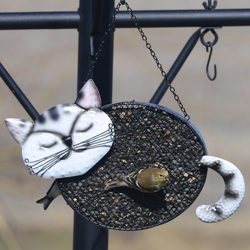 Futterampel Katze – Die 15 besten Produkte im Vergleich & Angebote ...
