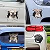 Amazon.com - 3D Dog Window Decals for Cars Funny Dog Decal Car ...