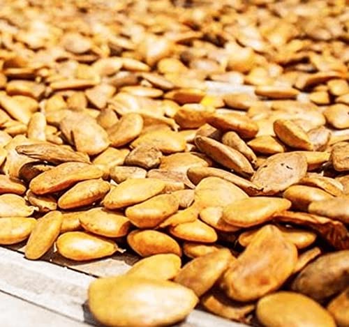 Amazon.com : Akuamma Seeds 30 count : Grocery & Gourmet Food