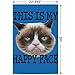 Amazon.com: Trends International Grumpy Cat - Face Wall Poster, 22.375 ...