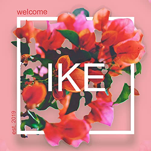 Amazon.com: Welcome to IKE Podcast : Welcome to IKE: Audible Books ...