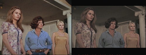 Amazon.com: The Baby [DVD] : Tod Andrews, Anjanette Comer, Marianna ...