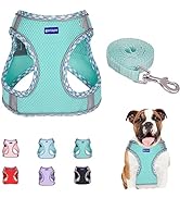 Amazon.com : BTDCFY Step in Mesh Dog Harness and Leash Set - Breathable ...
