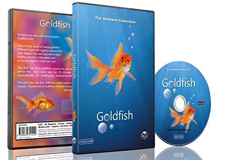 Amazon.com: Baby and Kids DVD - Goldfish Aquarium shot in HD with long ...