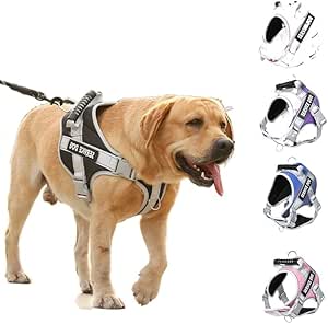 Amazon.com: Kimpets Dog Harness Vest Labrador Retriever Chest Clothes ...