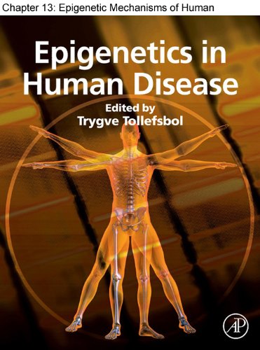 Chapter 13, Epigenetic Mechanisms of Human Imprinting Disorders ...