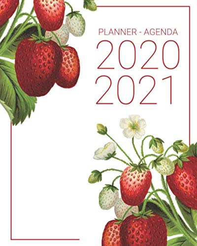 Planner - Agenda 2020 - 2021: Red Strawberry Two Year Daily Weekly ...