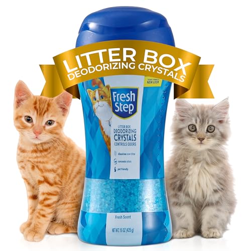 Walmart Kitty Litter – The 15 best products compared - Your Motor Guide
