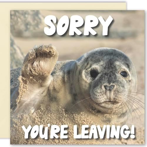 Felbridge Studio - Good Luck Cards - Leaving Card - Goodbye Cards - New ...