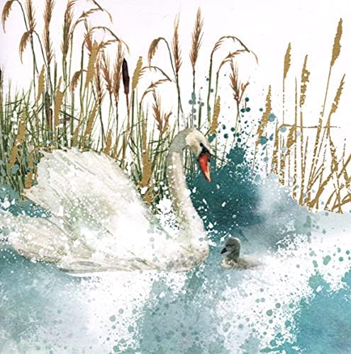 Beautiful Swan Birthday Card - Happy Birthday - Swan In Lake Surrounded ...