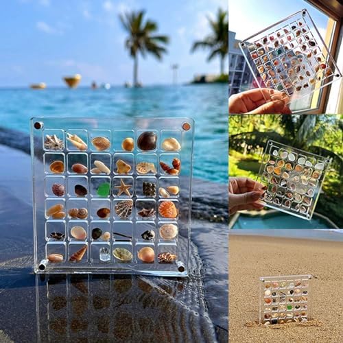 Amazon.com: Acrylic Magnetic Seashell Display Box, Seashell Storage Box ...