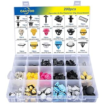 OAUTOO 200pcs Hyundai & Kia Body Retainer Fastener Clip Assortment ...