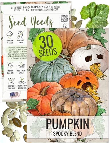 Amazon.com : Seed Needs, Specialty Pumpkin Seed Packet Collection (4 ...