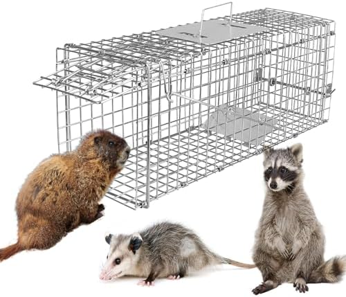 Amazon.com : 24” Humane Animal Trap Live Animal Trap Cage for Squirrels ...