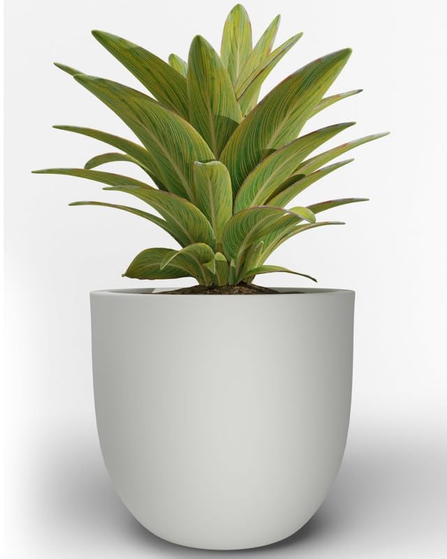 Decorscent Fiber Reinforced Plastic FRP Pot,Indoor Outdoor Plant Pots ...
