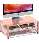 Amazon.com: ECOLOVI Computer Monitor Stand Riser, Desk Organizers and ...