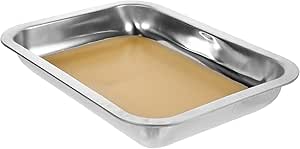 Amazon.com: Anatomy Tray Remover Stainless Steel Dissection Plate ...