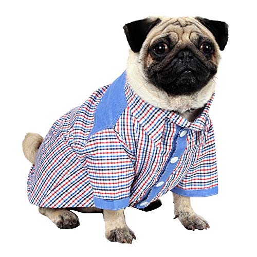 Douge Couture Multi Color Smart Check Shirt with Red Bow Attachd Cat ...