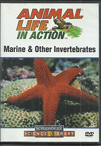 Amazon.com: Animal Life in Action - Marine & Other Invertebrates ...