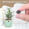 Amazon.com : 10LB Leca Clay Pebbles for Plants, Expanded Leca Balls for ...