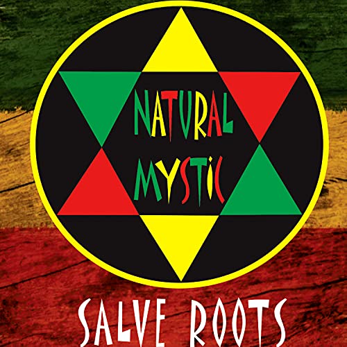 Amazon.com: Salve Roots : Natural Mystic: Digital Music