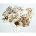Amazon.com: 21 Mixed Sola Flower Reed Diffuser for Home Fragrance Aroma ...