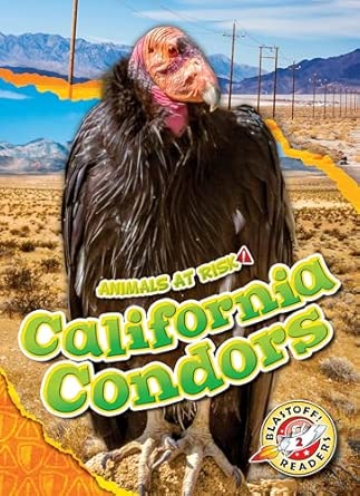 California Condors - Animals At Risk, Non-Fiction Reading About ...