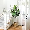 Amazon.com: Yepdin 2 PCS Artificial Fiddle Leaf Fig Tree 6 Ft with Plastic Pot Artificial Tree ...