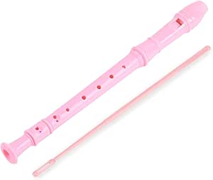 Amazon.com: 8 Holes Soprano Recorder Instrument, Flute ABS Instruments ...
