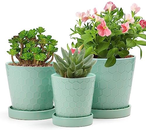 Amazon.com: EFISPSS Flower Planter –5 inch Ceramic Plant Pots with ...