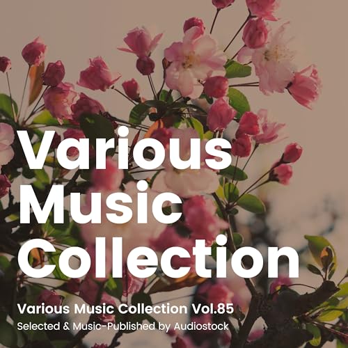 Amazon Music - VARIOUS ARTISTSのVarious Music Collection Vol.85 ...