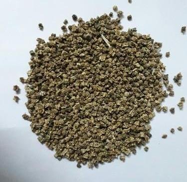 Urancia® Palak Indian Spinach Palang Sag Seed Palak Seed Spinacia ...