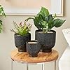 Amazon.com: Deco 79 Ceramic Indoor Outdoor Planter Speckled Small ...