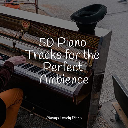 Amazon MusicでRelajacion Piano, Chill Out Music Café & Gentle Piano ...