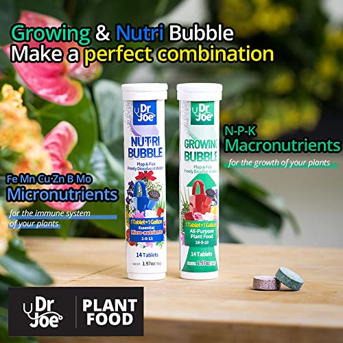 Dr. Joe Growing Bubble Plant Food – All Purpose Water Soluble ...