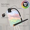 Amazon.com: Daylight Company Easel Lamp Go™ Premium 95+ CRI LED Art ...
