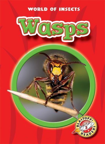 Amazon.com: Wasps (Blastoff! Readers: World of Insects): 9781600140761 ...
