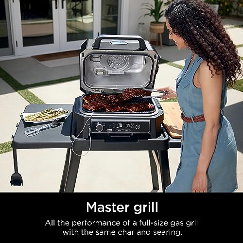 Ninja OG850 Woodfire Pro XL Outdoor Grill & Smoker with Built-In ...
