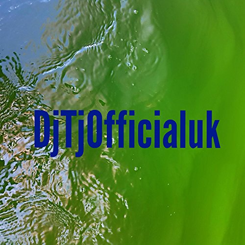 Play Dance With Somebody, Pt. 1 by DjTj Official on Amazon Music