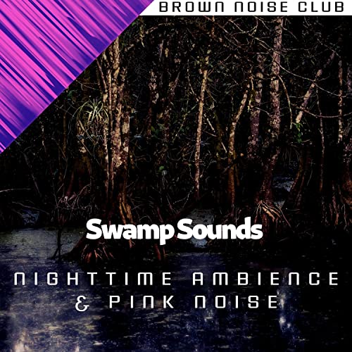 Swamp Sounds - Nighttime Ambience & Pink Noise, Loopable de Nature ...