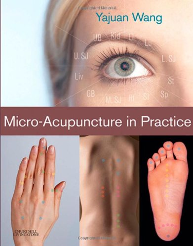Ebook – Micro-acupuncture in practice Edition (PDF Instant Download) – Ebook Store