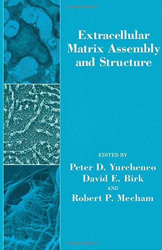 Extracellular Matrix Assembly and Structure (Biology of Extracellular ...