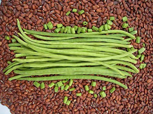 Creative Farmer Vegetable Seeds Alasandalu Kaaraamanulu Seeds - Cowpea ...