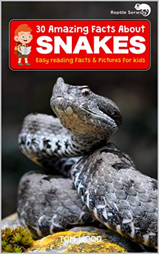 30 Amazing Facts About Snakes: Easy Reading Facts & Pictures For Kids ...