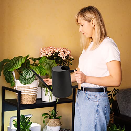 1L Indoor Watering Can, Thin Long Spout Plant Watering Can Lightweight ...